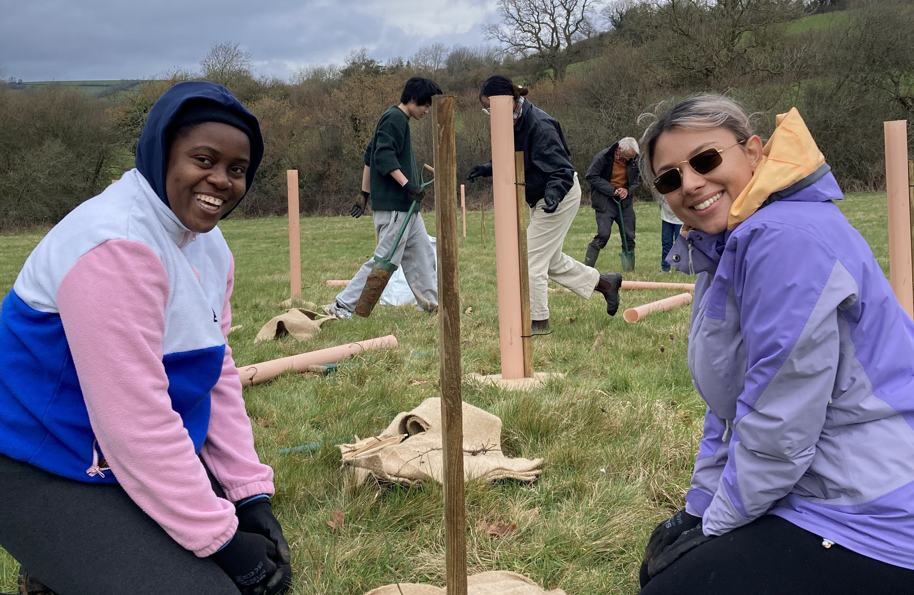 Urgent donations needed for 420 acre new woodland - a Environment ...