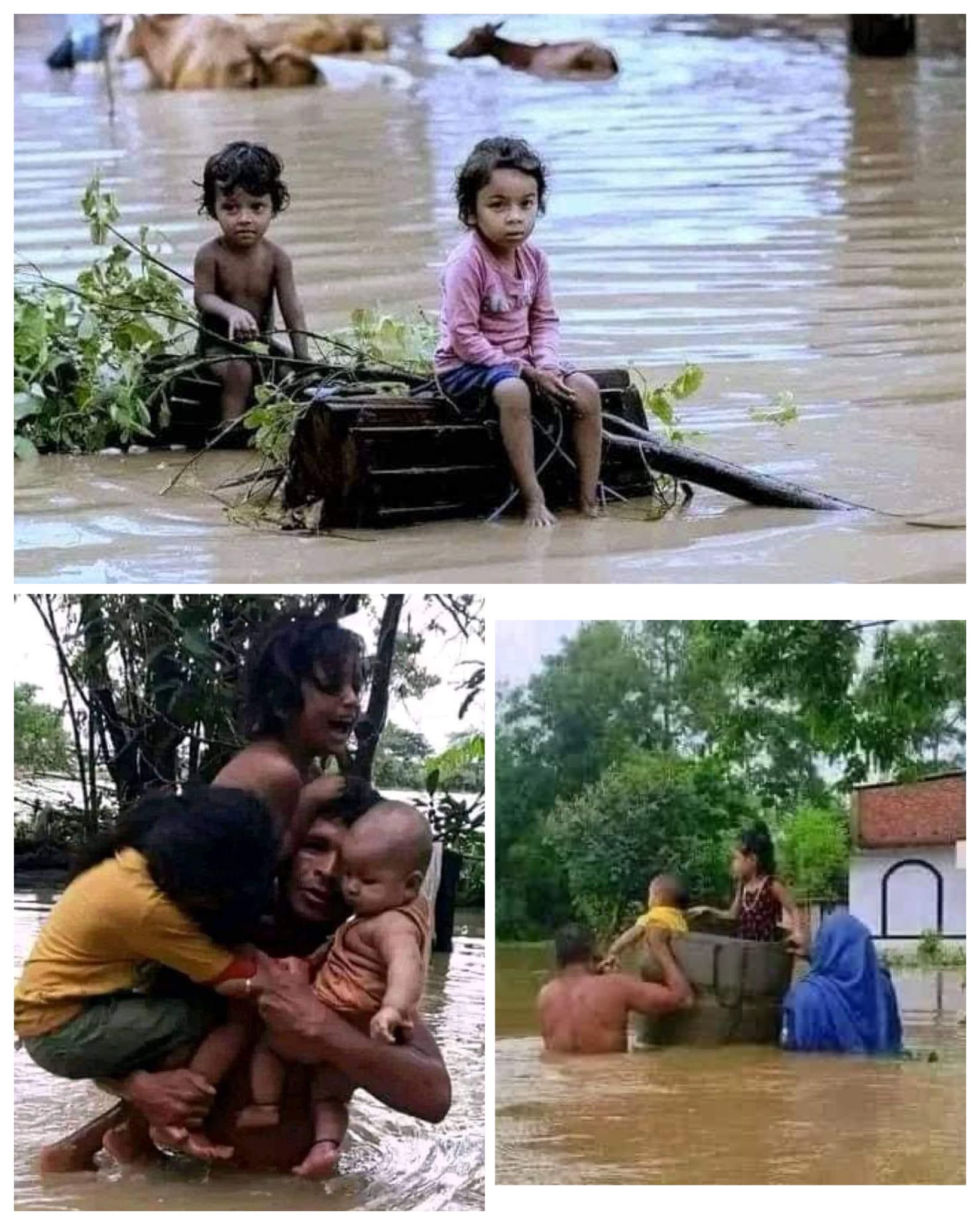 Arrange Drinking Water for Flood Victims - a Food and Drink ...