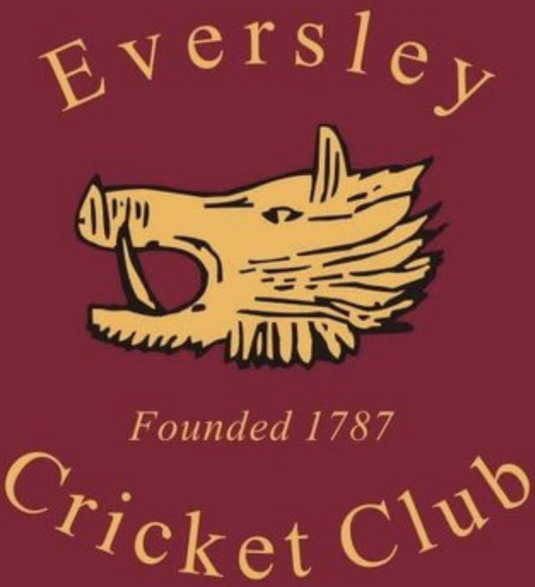 Eversley Cricket Club Outdoor Nets - a Community crowdfunding project ...