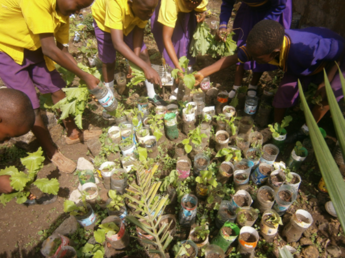 One Child One Tree Project - a crowdfunding project in Mamfe by ...