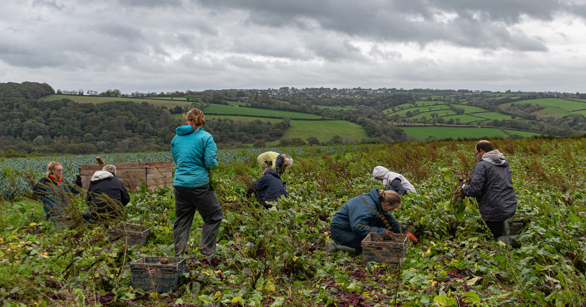 Gleaning Network Cornwall - Vehicle Fund - a Food and Drink crowdfunding project in Hayle by ...