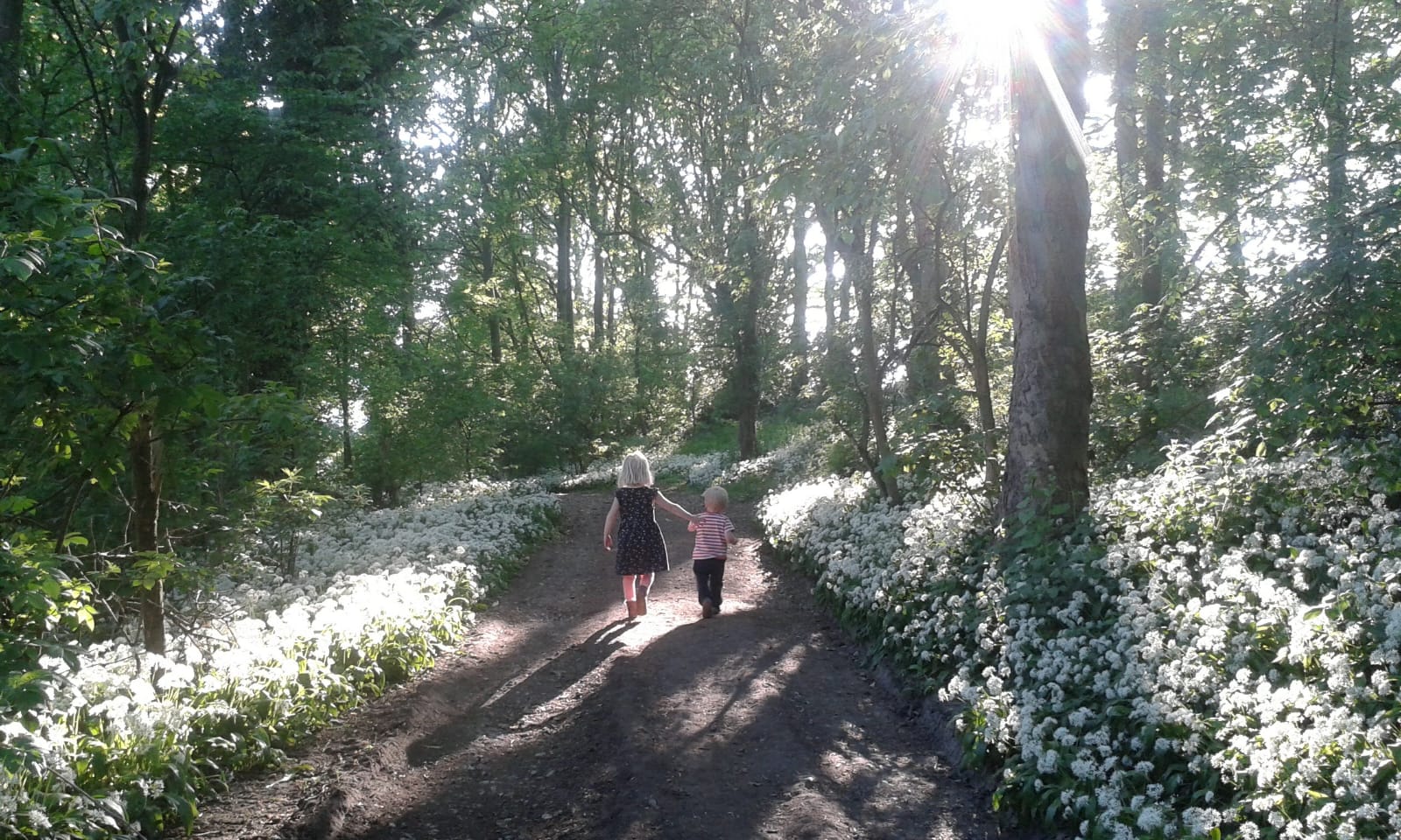 COMMUNITY BUY OUT - EAST WOOD (WESTON WOODS) - a Environment ...