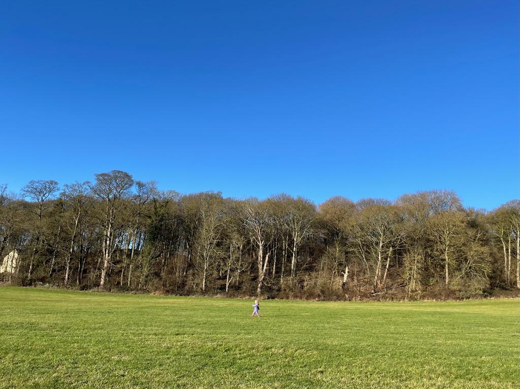 COMMUNITY BUY OUT - EAST WOOD (WESTON WOODS) - a Environment ...
