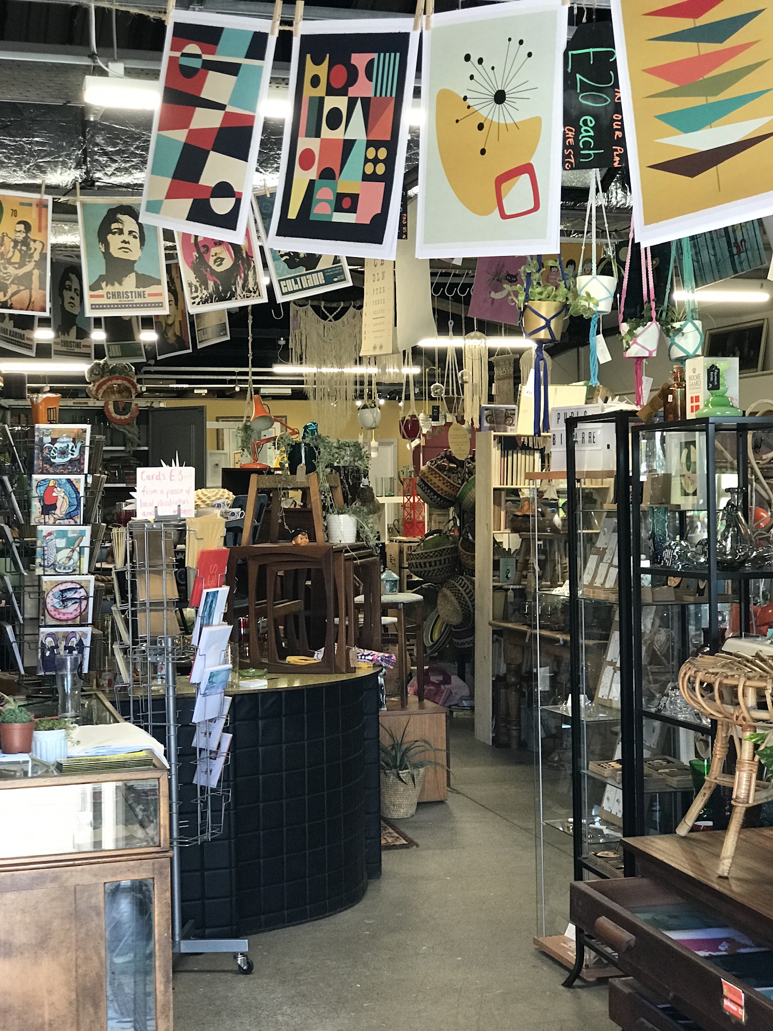 Help Flea Circus to survive the Corona crisis - a Business crowdfunding ...