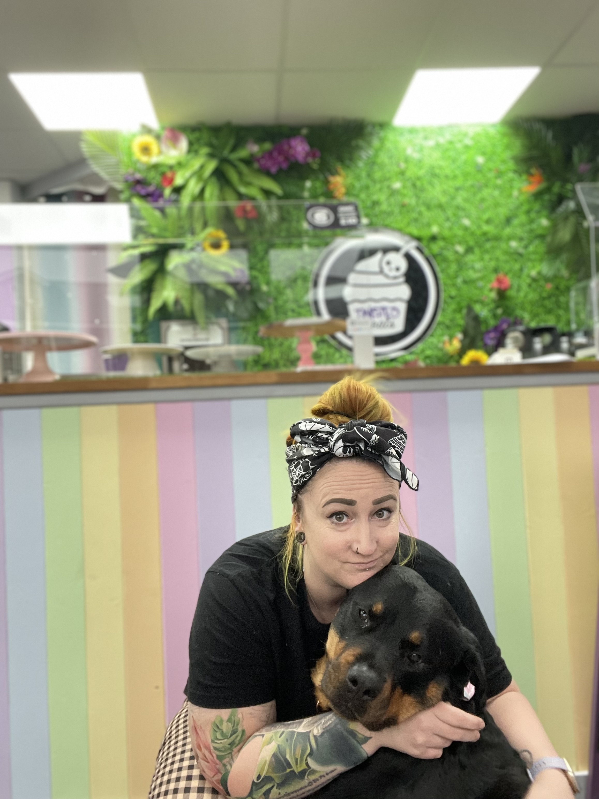 Help Twisted Treats Move To Colchester - a Food and Drink crowdfunding ...