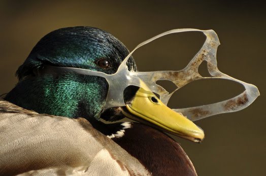 Precious Plastic York - a Community crowdfunding project in York by St ...