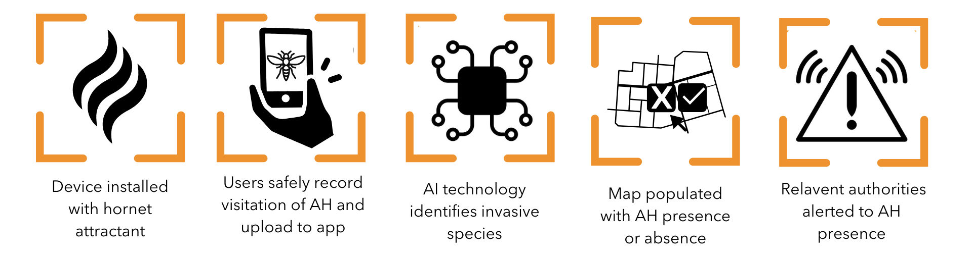 Protecting our insects from invasive Asian hornets - a Community ...