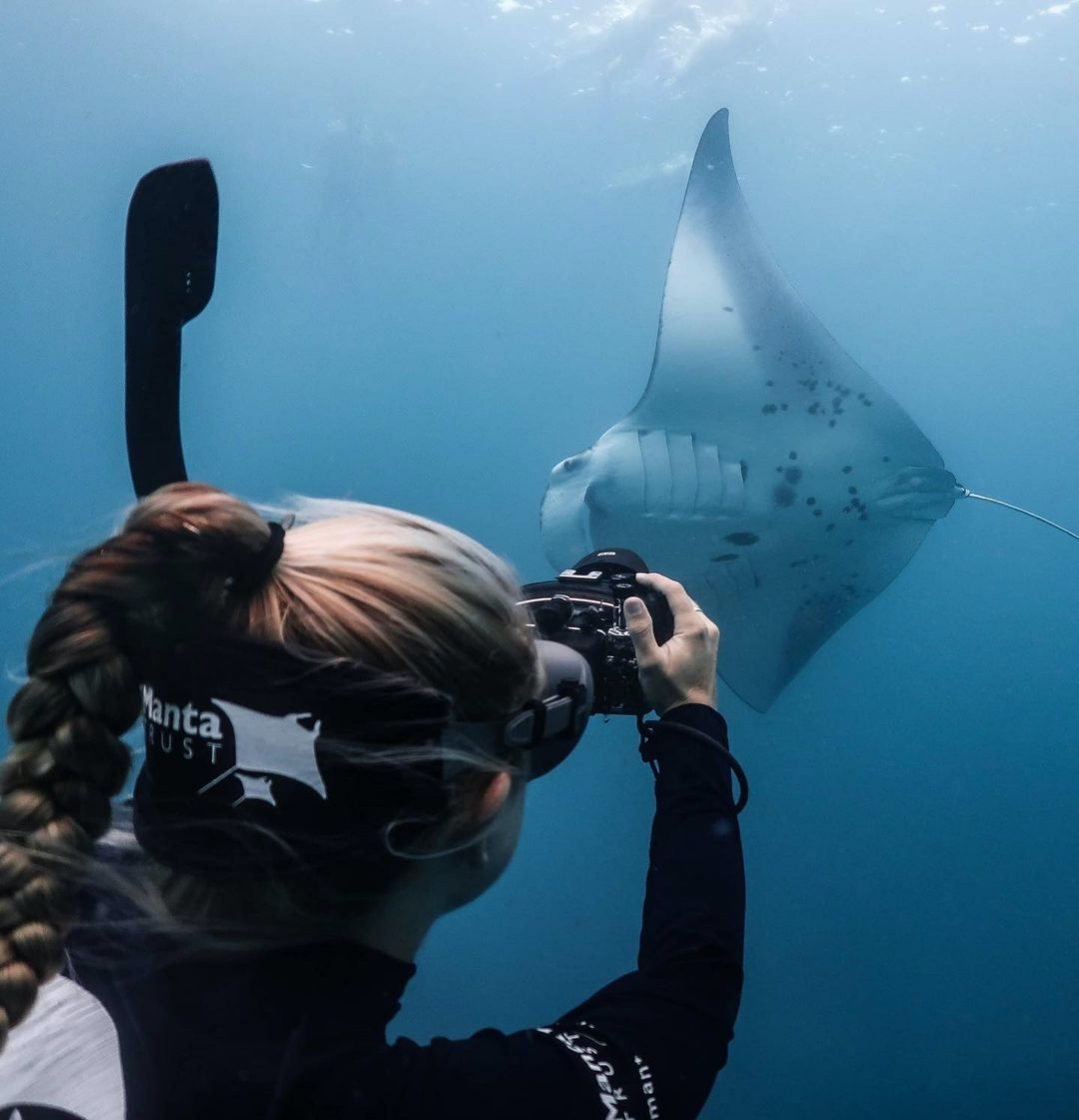 Saving Manta Rays Using Slime - a Environment crowdfunding project in ...