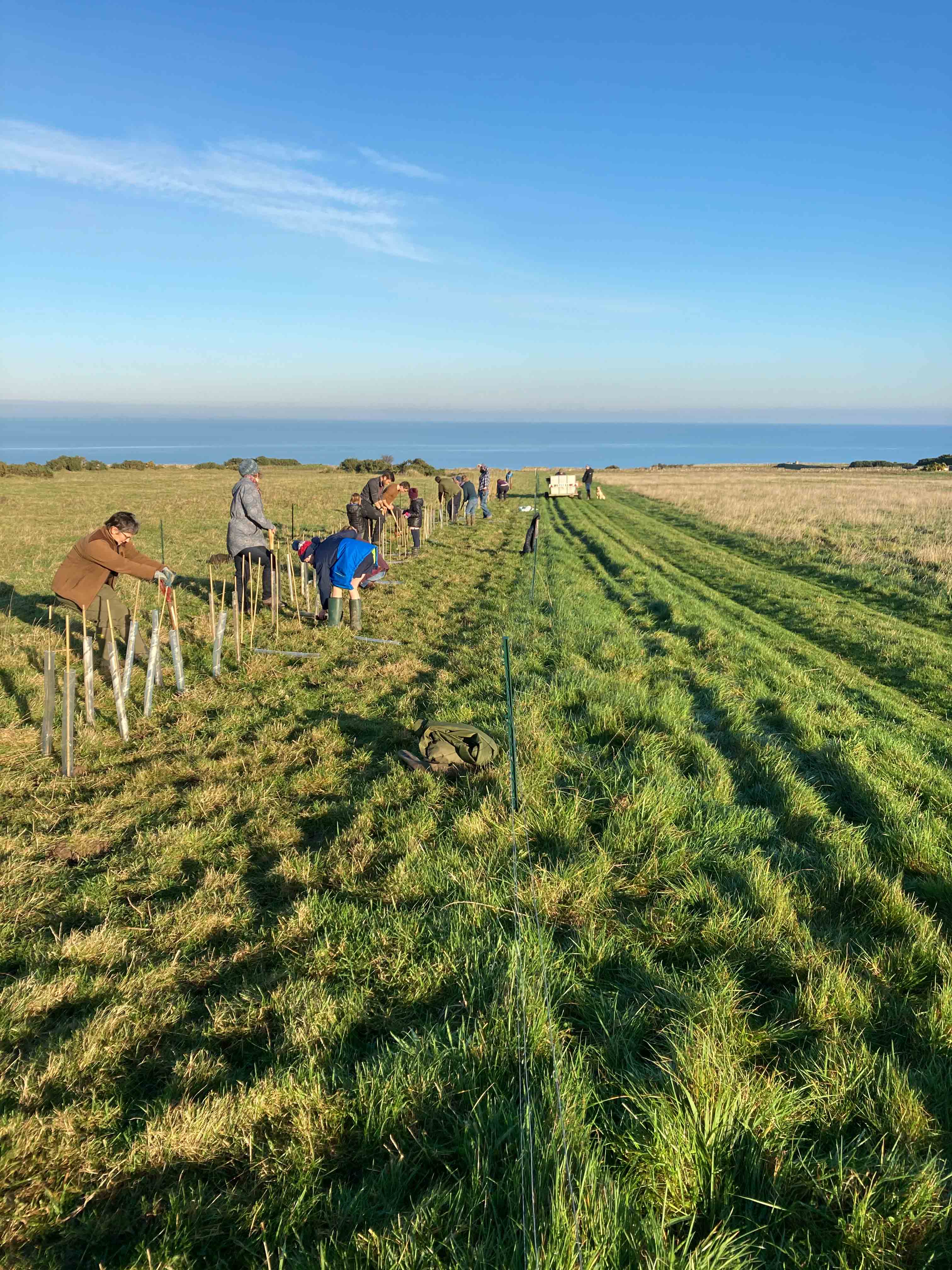 Rewilding Kinkell - a Environment crowdfunding project in St Andrews by ...