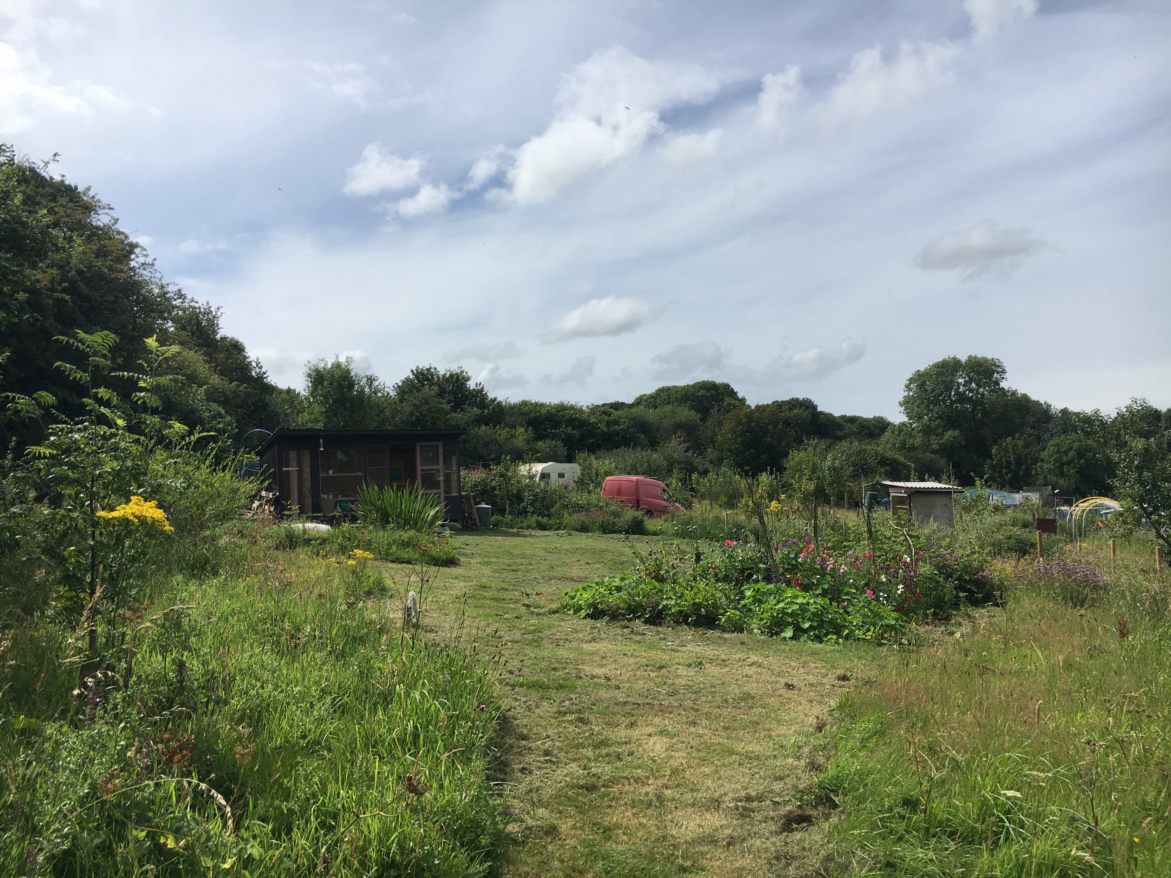 Allotment Club | Needs your help!! - a Environment crowdfunding project ...
