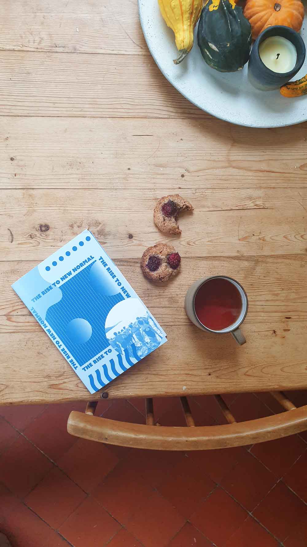 The Rise to New Normal Zine - a Community crowdfunding project in ...