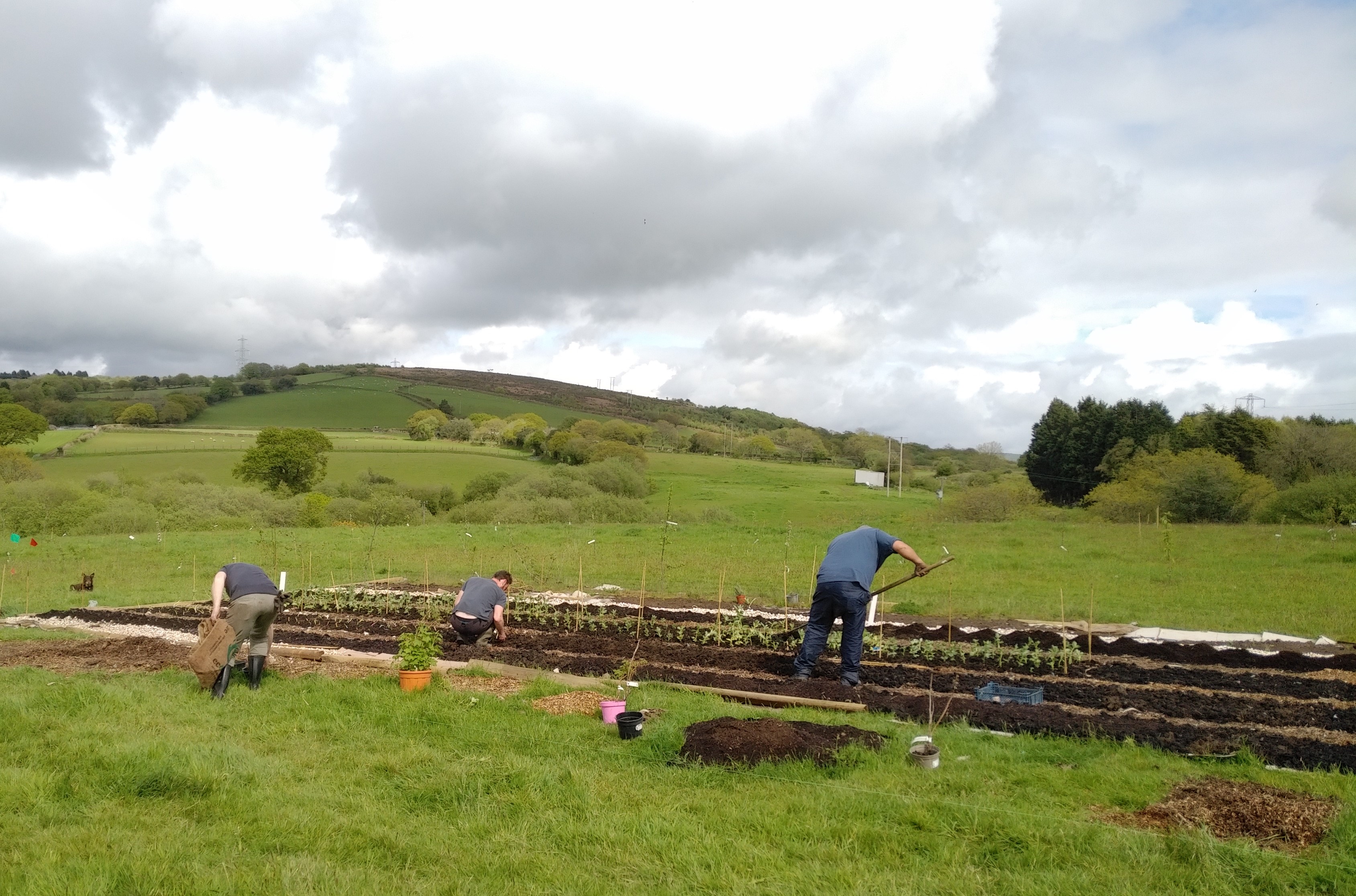 Volunteer Shelter - a Food and Drink crowdfunding project in Swansea by ...