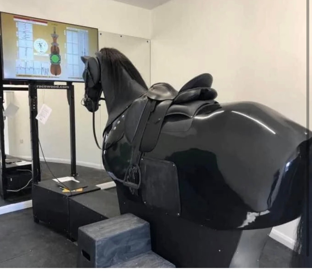 A new house for Eddie 'the horse simulator' - a Community crowdfunding ...