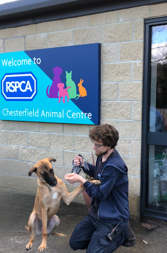 RSPCA Chesterfield and North Derbyshire Vet Bills - a Charities ...