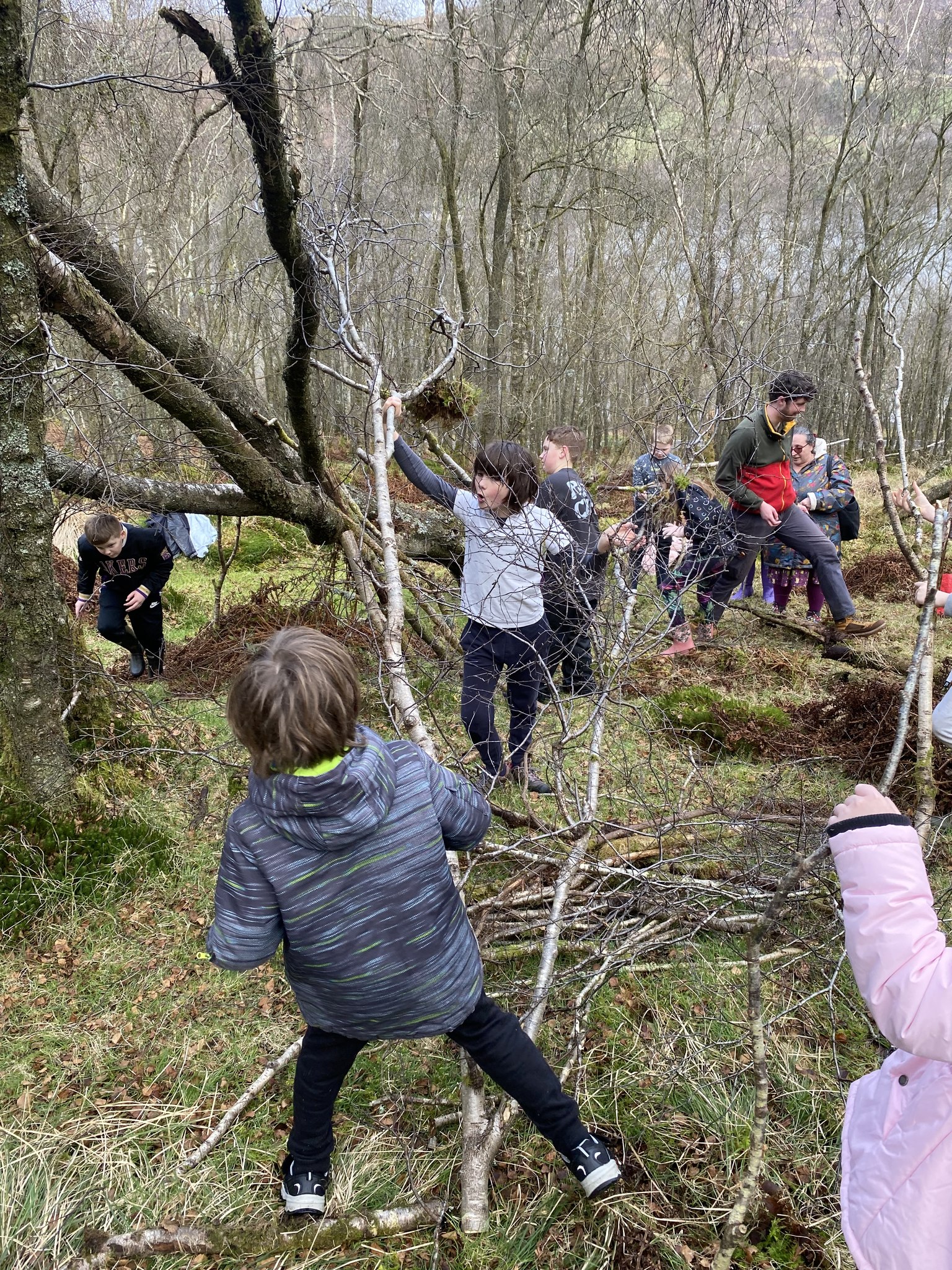 Grow the Seed: Bute Forest Schools and Ranger - a Community ...