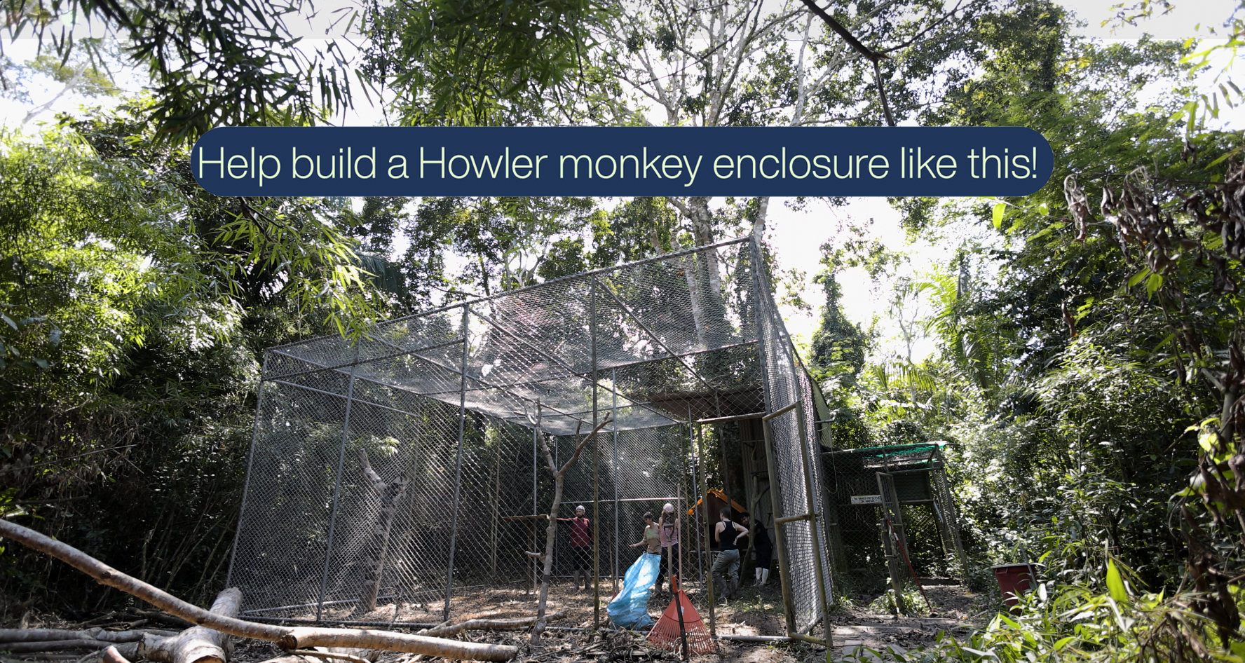 Help Build a Howler Monkey Enclosure in the Amazon - a Personal Causes ...