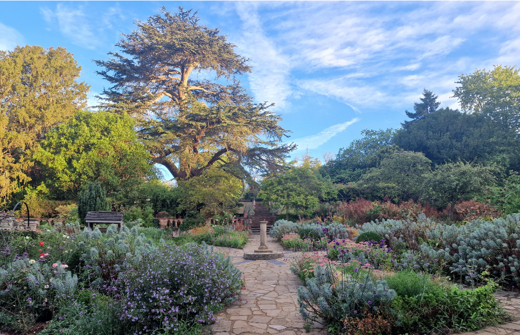 Save your Streatham Rookery Gardens - a Community crowdfunding project ...