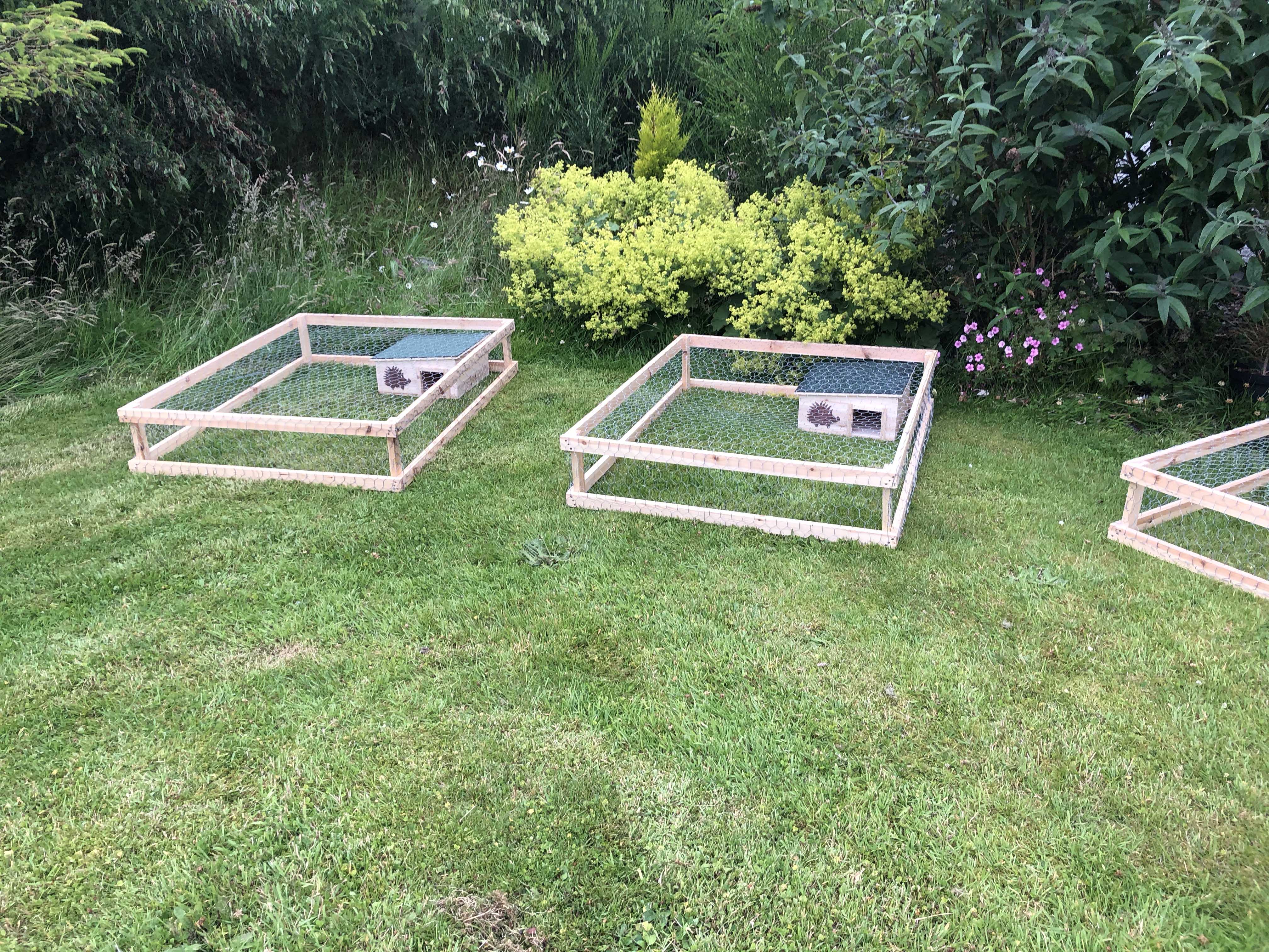 Hedgehog Hospital & Rehabilitation Centre - a Community crowdfunding ...