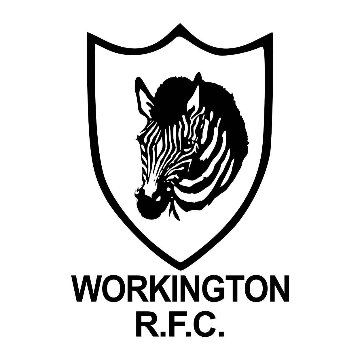 Protect young Zebras players from foul play - a Sports crowdfunding ...