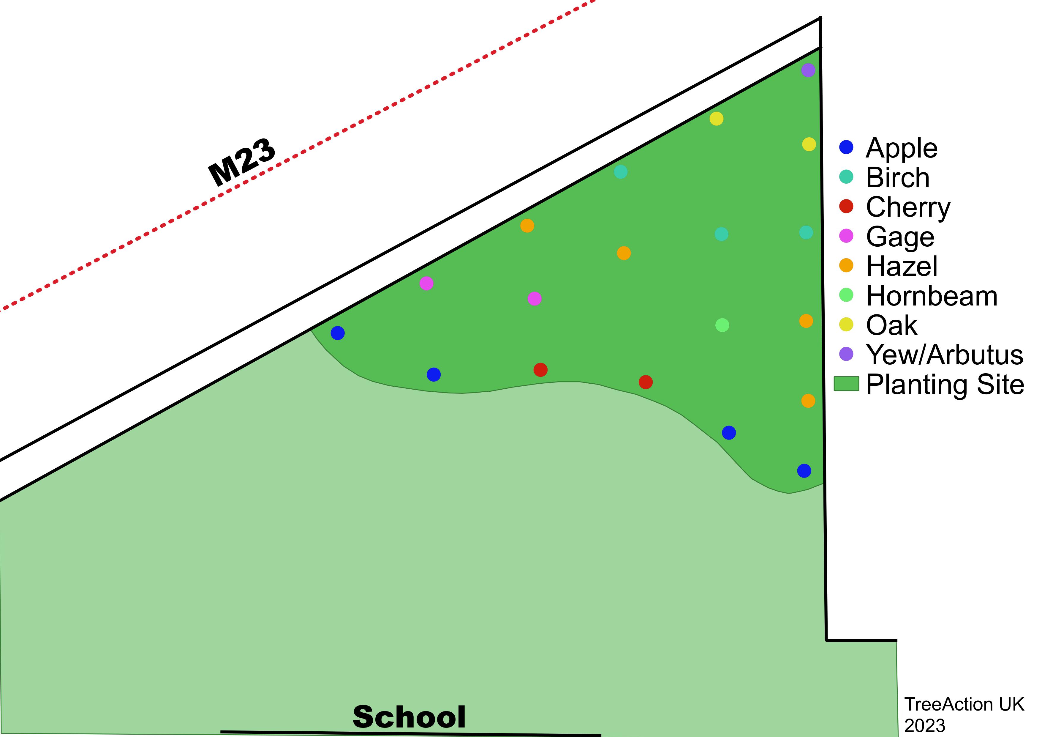 TreeAction-WoodgatePrimaryAcademy'sTreeProject - a Environment ...