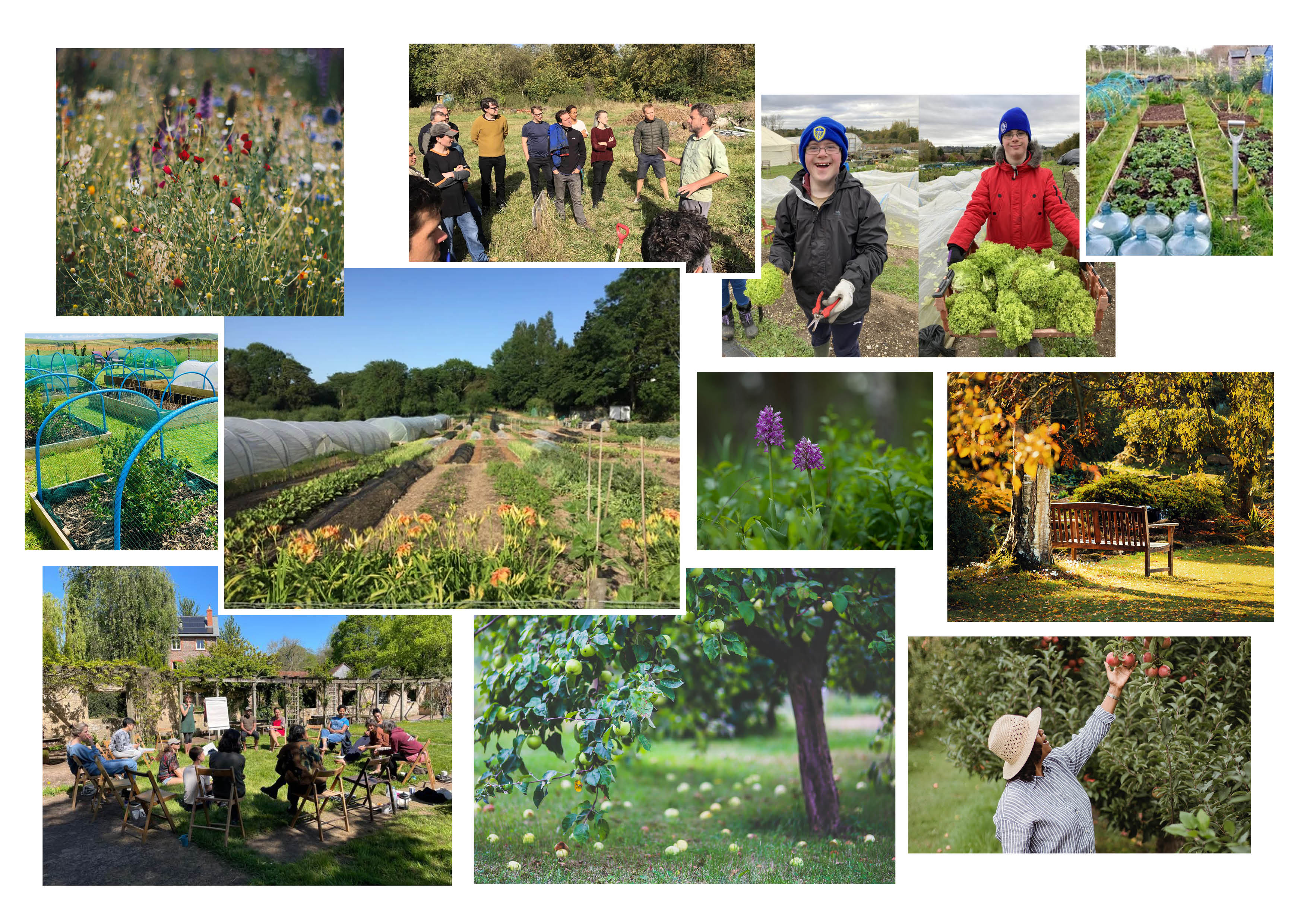 Broadway Community Gardens & Allotments - a Environment crowdfunding ...