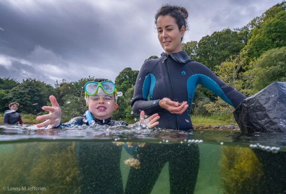 Native oyster (Ostrea edulis) restoration - a Community crowdfunding ...