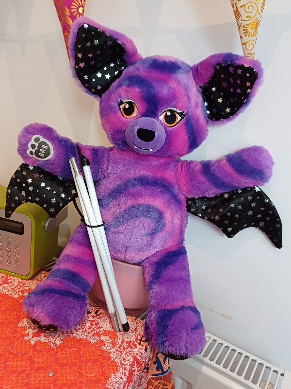 Swindon Bats Bucket Collection - a Charities crowdfunding project in ...