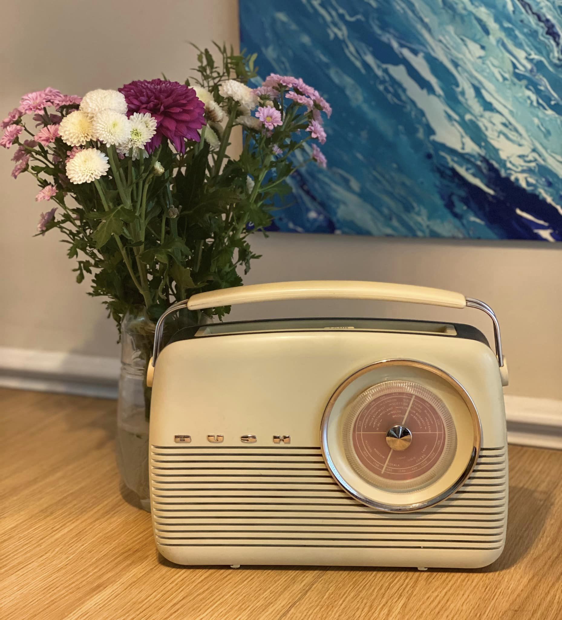 Original BUSH 1960s radio - a Entertainment crowdfunding project in ...