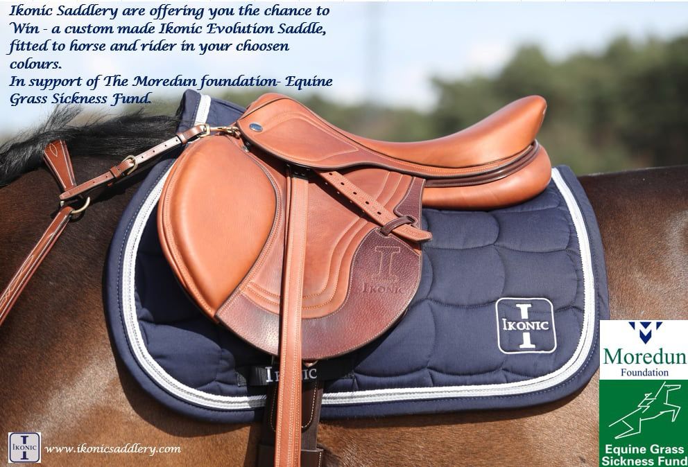 WIN! A brand new horse trailer or bespoke saddle - a Charities ...