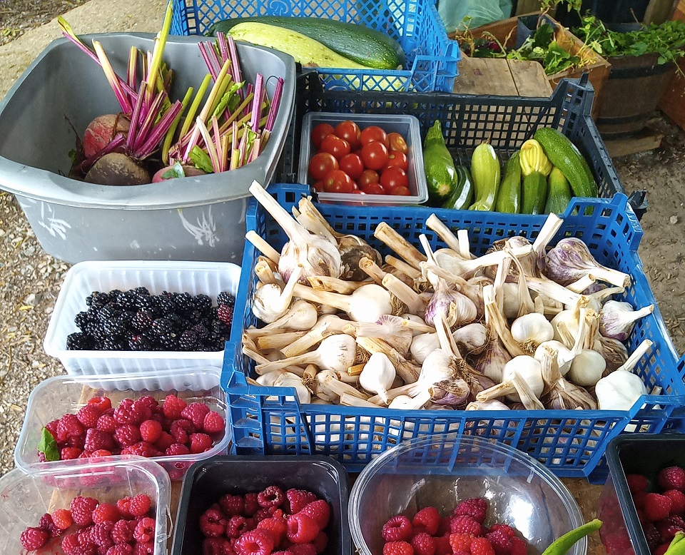 Petworth Harvest Food Boxes - a Community crowdfunding project in ...
