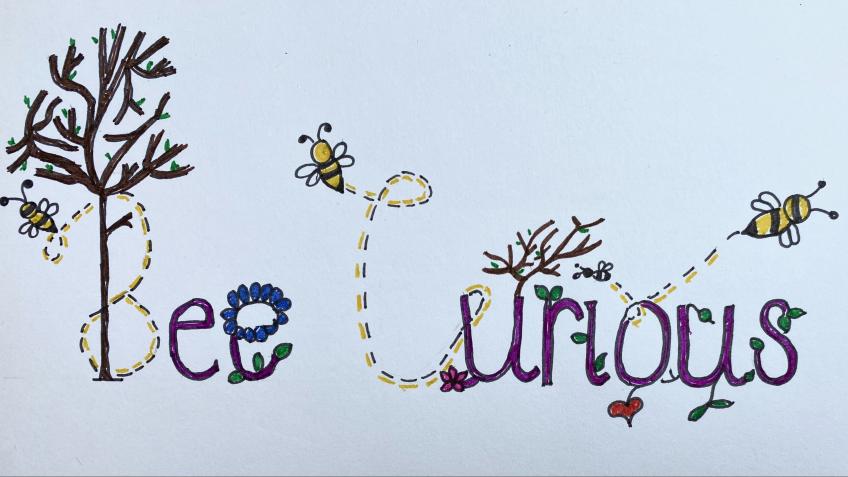 Bee Curious Childcare Parent App - a Community crowdfunding project in ...