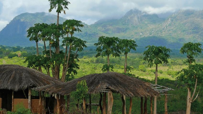 Eva's World Challenge Trip to eSwatini - a Charities crowdfunding ...