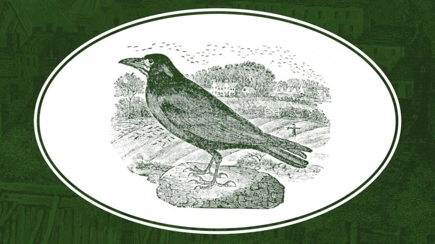 The John Rook Manuscript - a Publishing crowdfunding project in Wall by ...