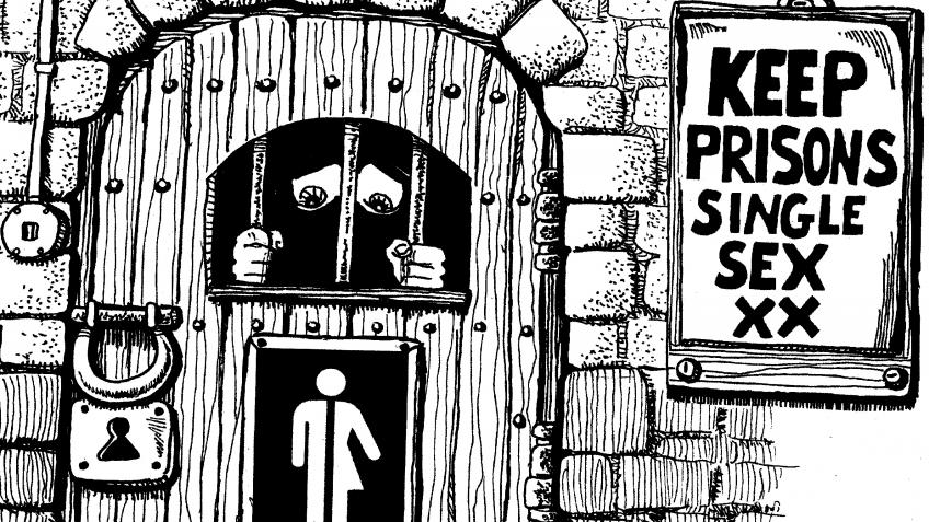Fighting For Sex Based Rights Of Women In Prison A Politics