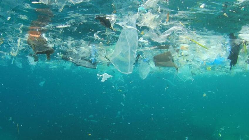 Marine Microplastics in Antarctica - a Environment crowdfunding project ...