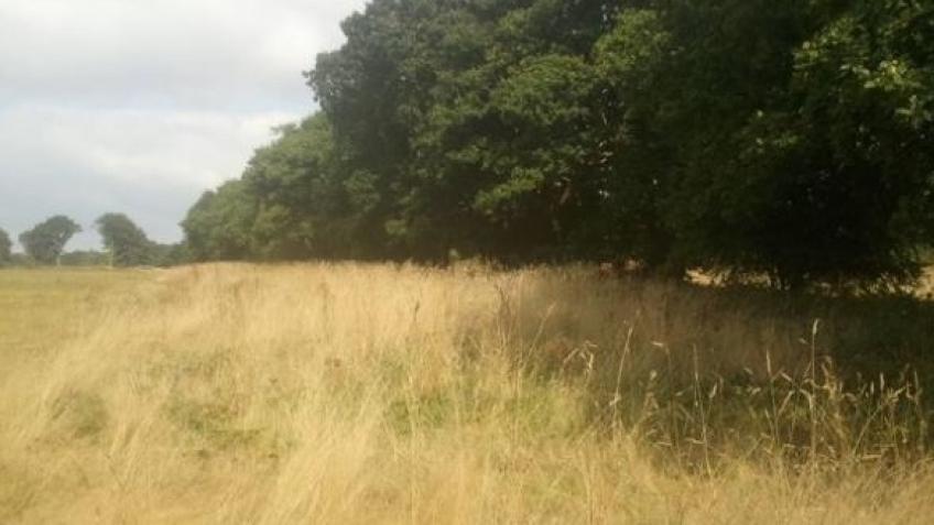 Save middlewick ranges from housing development - a Community ...