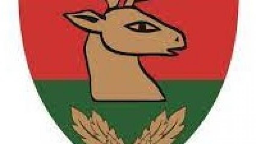 DCC Youth and Female cricket participation - a Sports crowdfunding ...