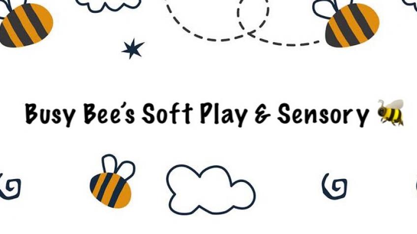 Busy Bee’s Soft Play & Sensory - a Food and Drink crowdfunding project ...