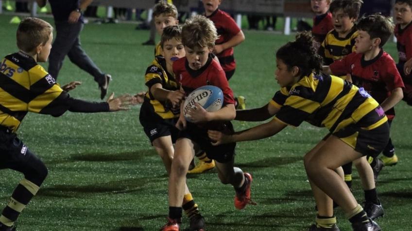 New RFU compliant AGP (3G) at Gordano RFC - a Community crowdfunding ...