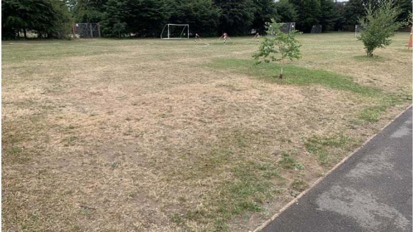 Help WFJS build an all-weather training track! - a Sports crowdfunding ...