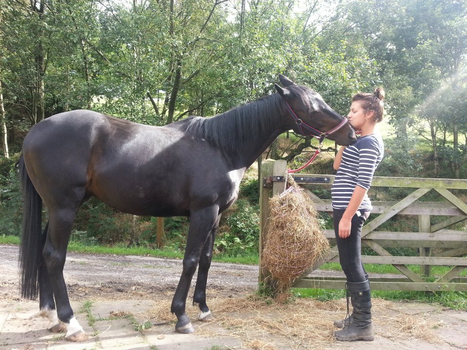 Pastures New - a Community crowdfunding project in Littleborough by ...