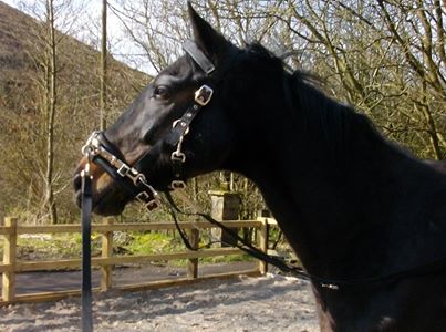 Pastures New - a Community crowdfunding project in Littleborough by ...