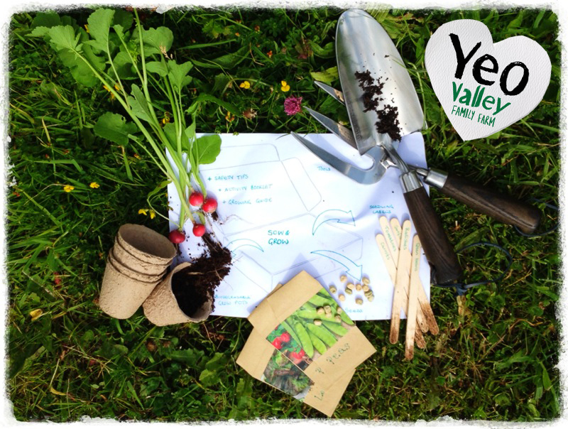 Go Wild Nature Kits - a crowdfunding project in Bristol by jackier