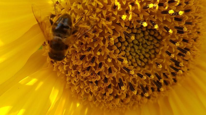 Fly-tipping fine: bring back community spirit! - a Personal Causes ...