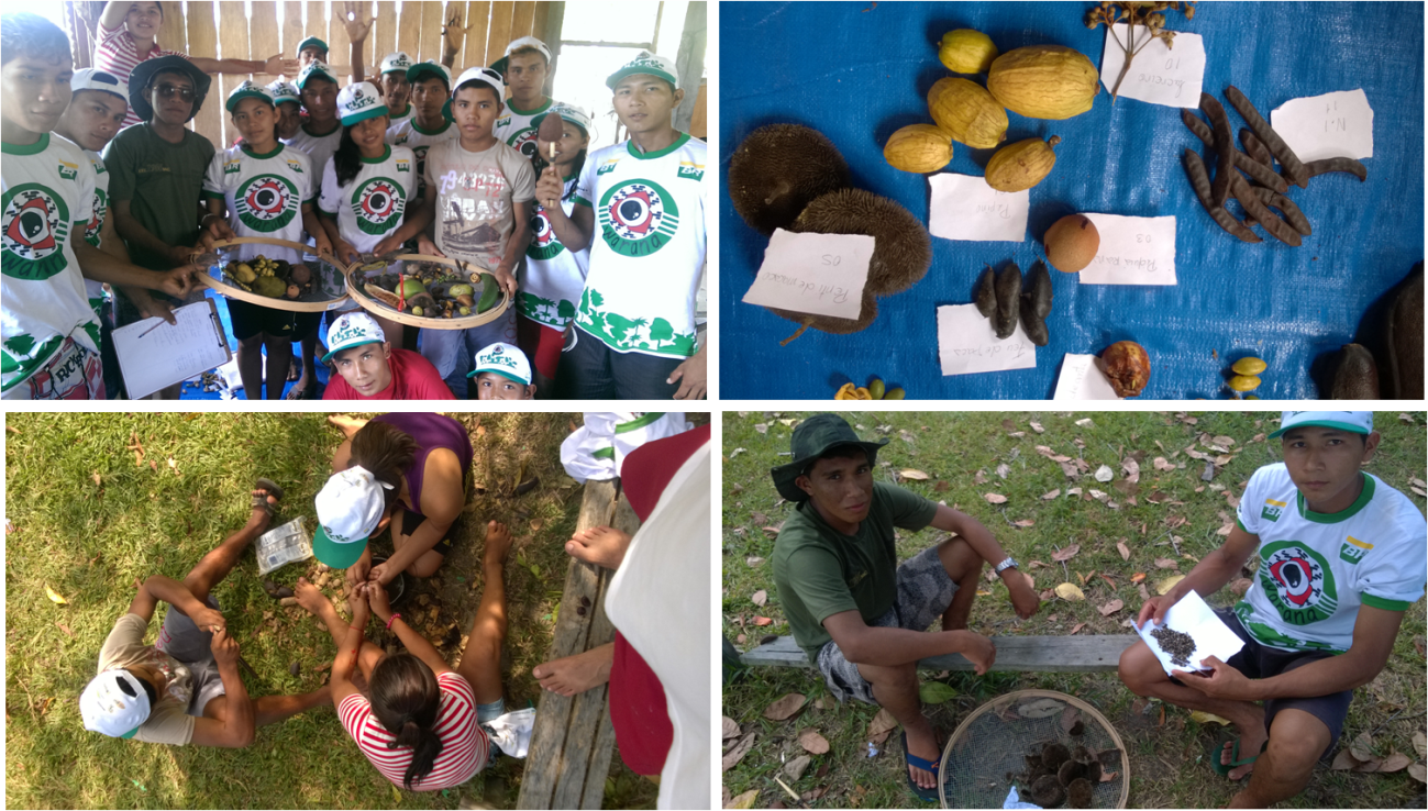 Plant-A-Seed to save the Amazon rainforest - a Business crowdfunding ...