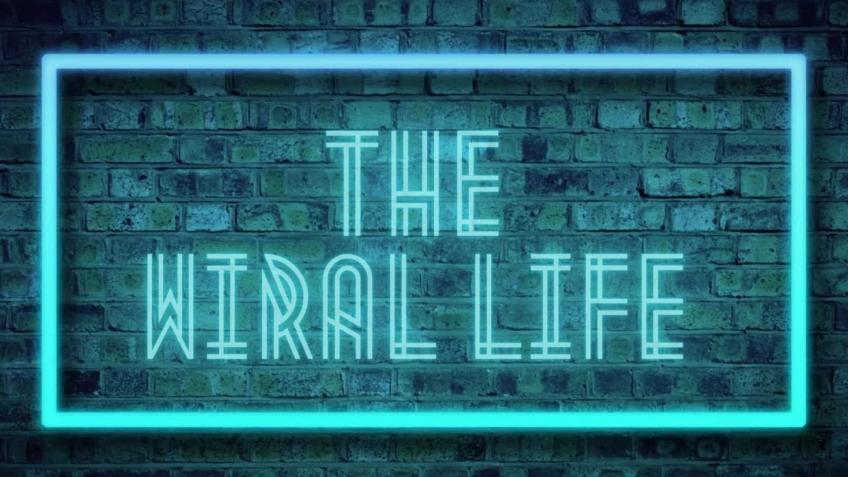 The Viral Life - Sitcom - a Film and Theatre crowdfunding project in ...