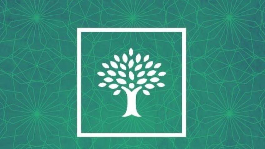 Lote Tree Foundation - a Community crowdfunding project in Manchester ...