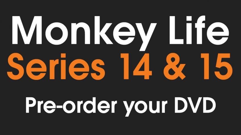 Monkey Life series 14 & 15 DVD - a Creative & Arts crowdfunding project in Wareham by Susan Tunstall