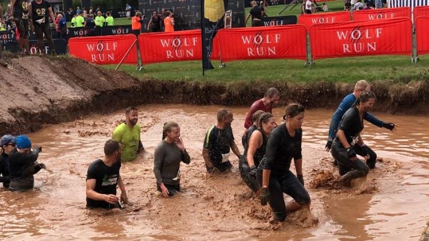 Ben Marchant - Colin Lee Opticians, Wolf run - a crowdfunding project ...