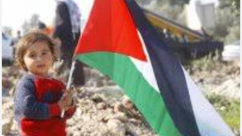 Help Palestine - a Food and Drink crowdfunding project in Shipley by ...